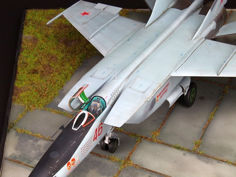 MiG-25 RBT, Revell 1:48 von Alex Grivonev