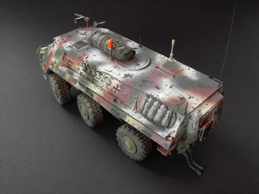 TPz-1 Fuchs A6 ABC, Revell 1:35 von Kai Maier
