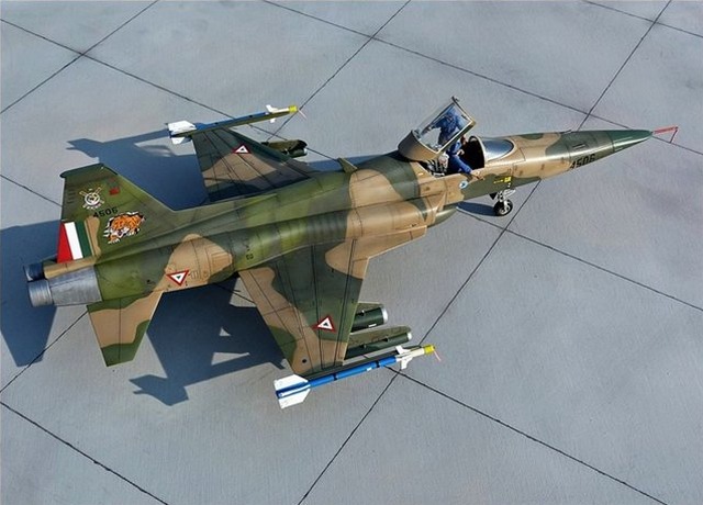 Northrop F-5E Tiger II, Revell 1:32 von Dieter Seng