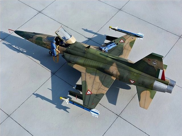 Northrop F-5E Tiger II, Revell 1:32 von Dieter Seng