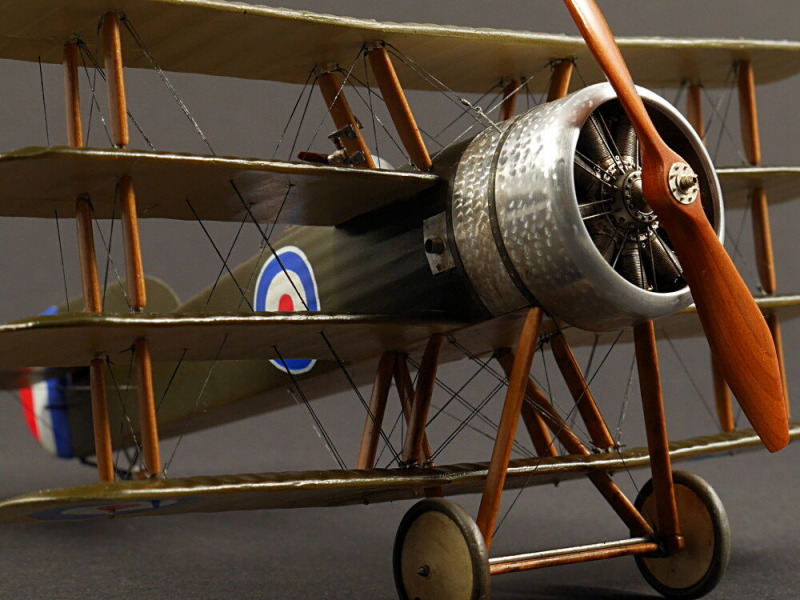 Wight Quadruplane, SPIN Models 1:48 von Frank Barkhofen