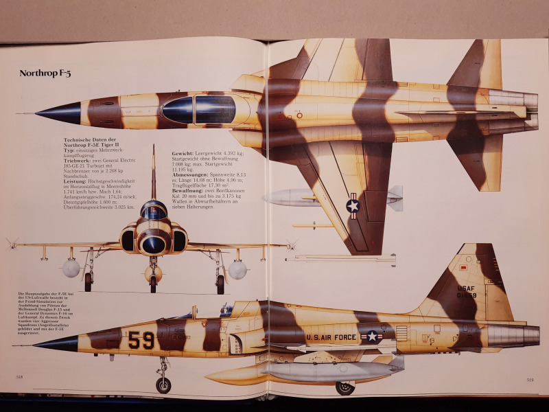 Northrop F-20 Tigershark " Demonstrator ", Hasegawa 1:72 von Oliver Zwiener