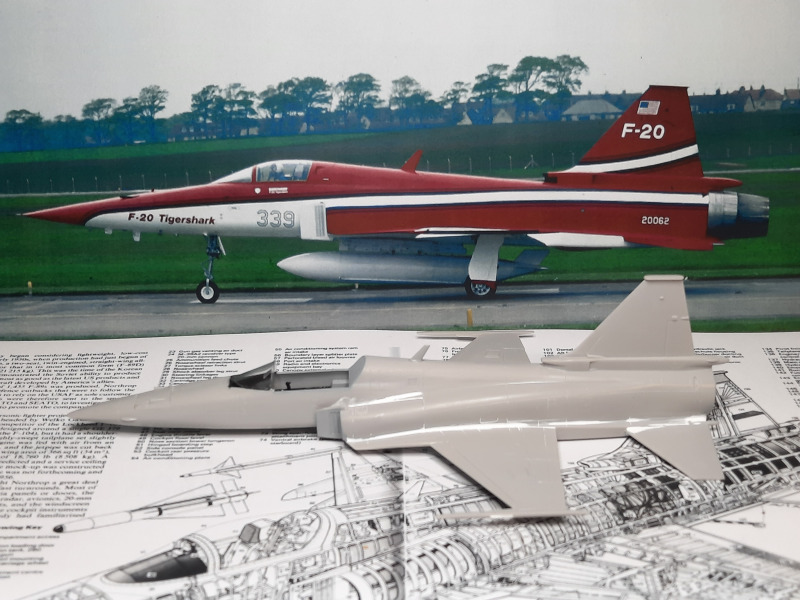 Northrop F-20 Tigershark " Demonstrator ", Hasegawa 1:72 von Oliver Zwiener