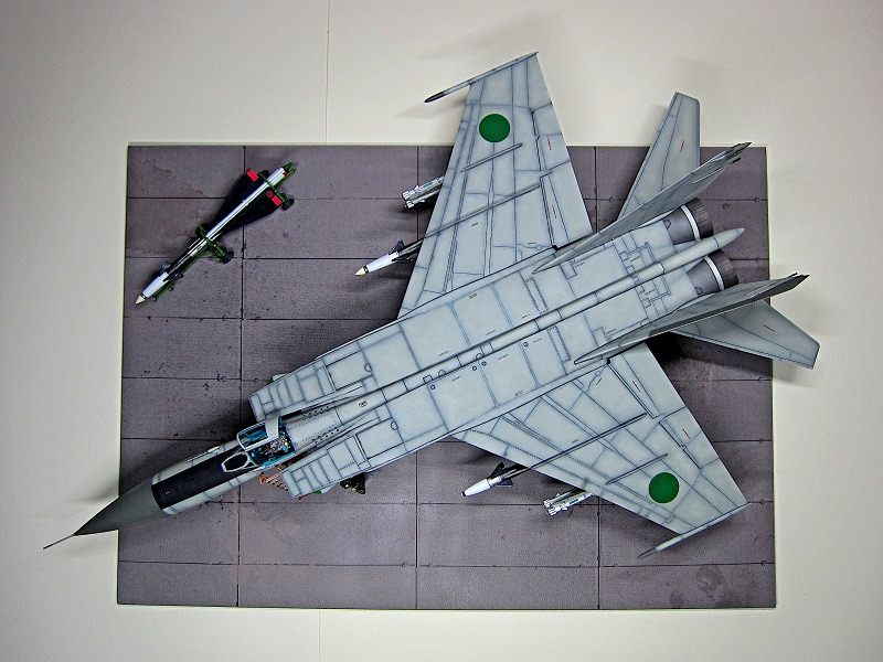 MiG-25PD, Libyan Air Force No. 1025 Squadron, ICM 1:48 von Tobias Hennig