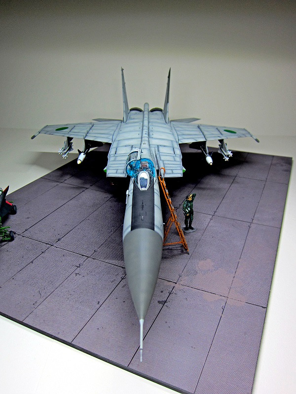 MiG-25PD, Libyan Air Force No. 1025 Squadron, ICM 1:48 von Tobias Hennig