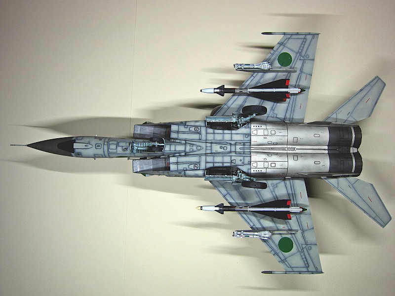 MiG-25PD, Libyan Air Force No. 1025 Squadron, ICM 1:48 von Tobias Hennig