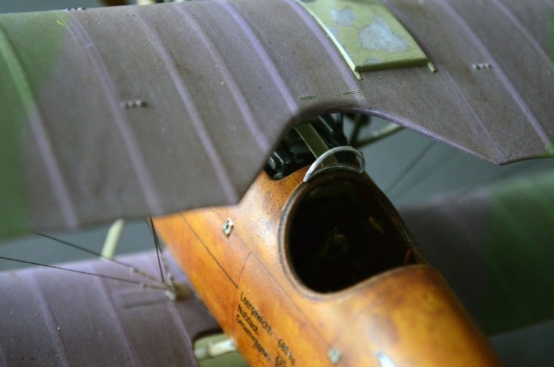 Albatros D.Va, Wingnut Wings 1:32 von Michael Franz